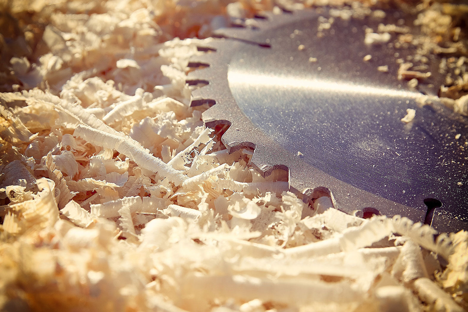 12x16 Victorian Hinged Roof Shed – Riehl Quality Storage Barns